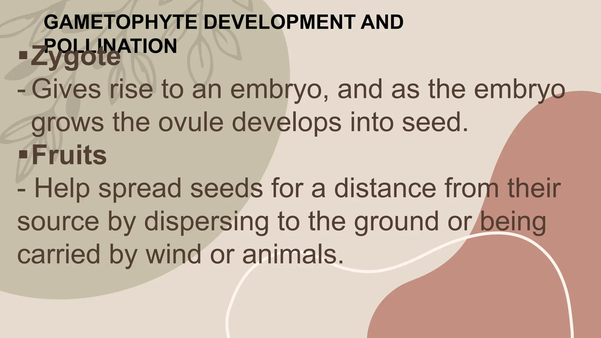 Plant reproduction- PowerPoint Presentation | PPTX