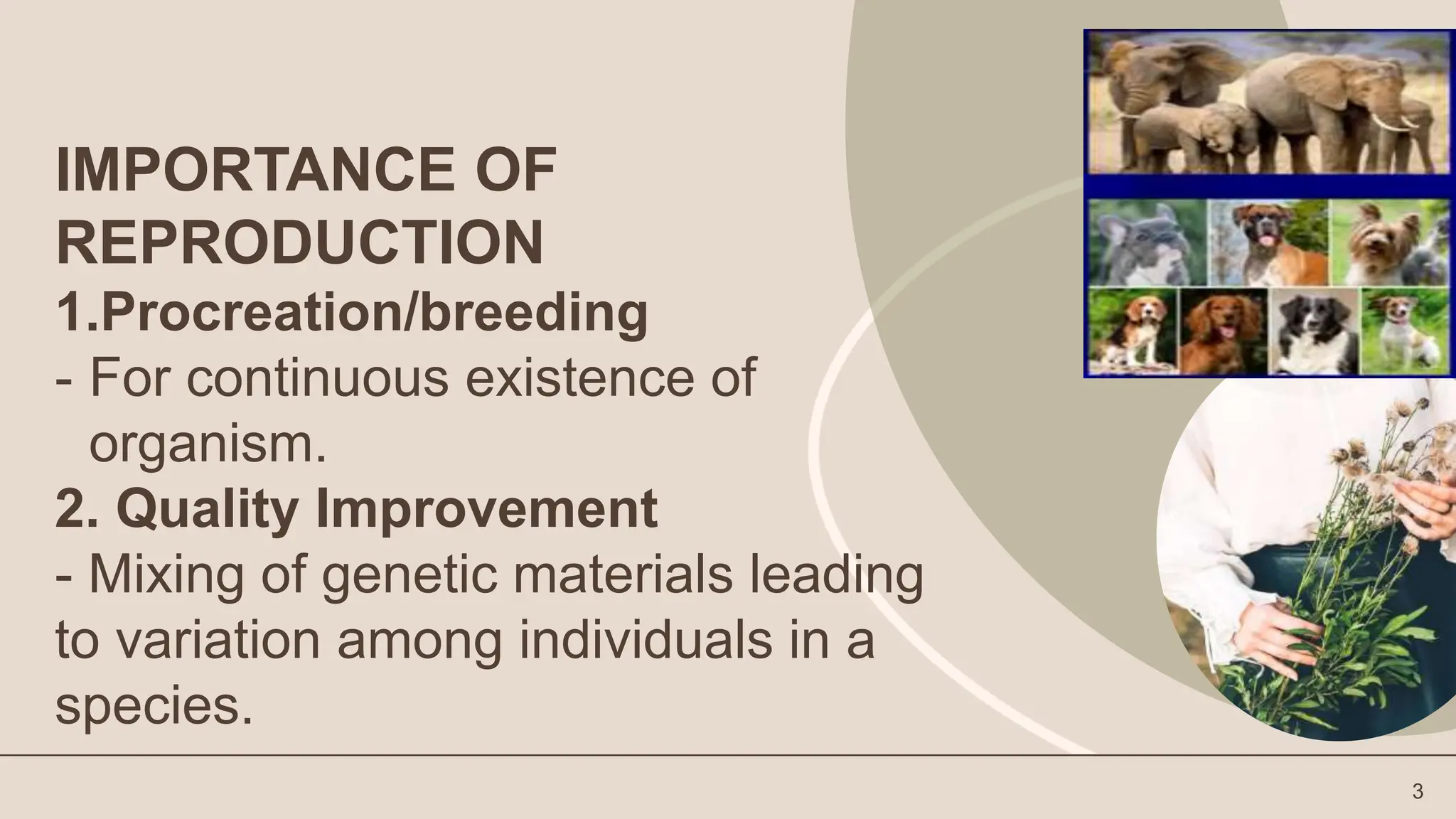 Plant reproduction- PowerPoint Presentation | PPTX