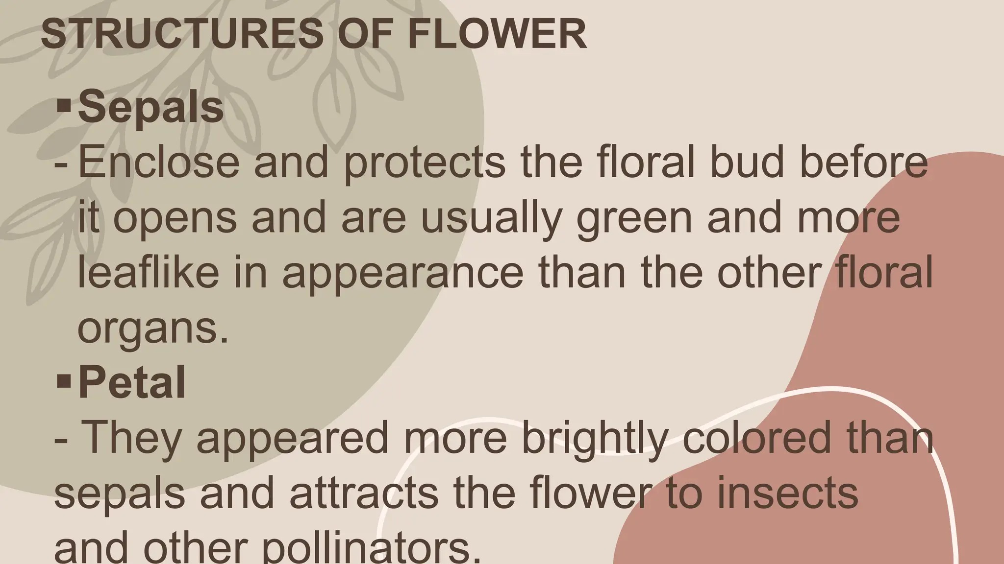 Plant reproduction- PowerPoint Presentation | PPTX