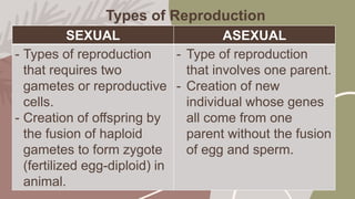 Plant reproduction- PowerPoint Presentation | PPTX