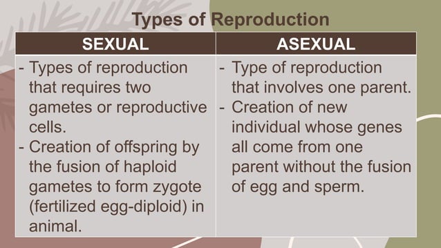 Plant reproduction- PowerPoint Presentation | PPTX