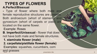 Plant reproduction- PowerPoint Presentation | PPTX