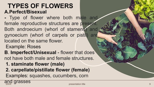 Plant reproduction- PowerPoint Presentation | PPTX