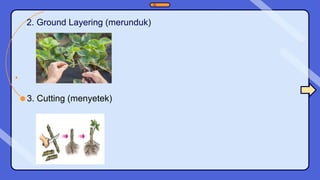 plant reproduction (perkembangbiakan tumbuhan) | PPT