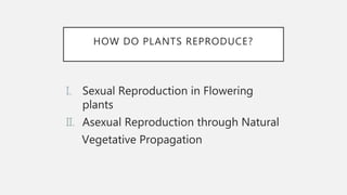 Plant reproduction-grade 5 | PPTX