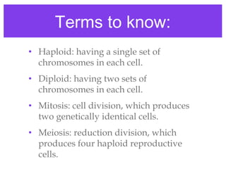 Plant reproduction (1) | PPT