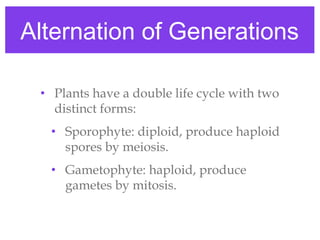 Plant reproduction (1) | PPT