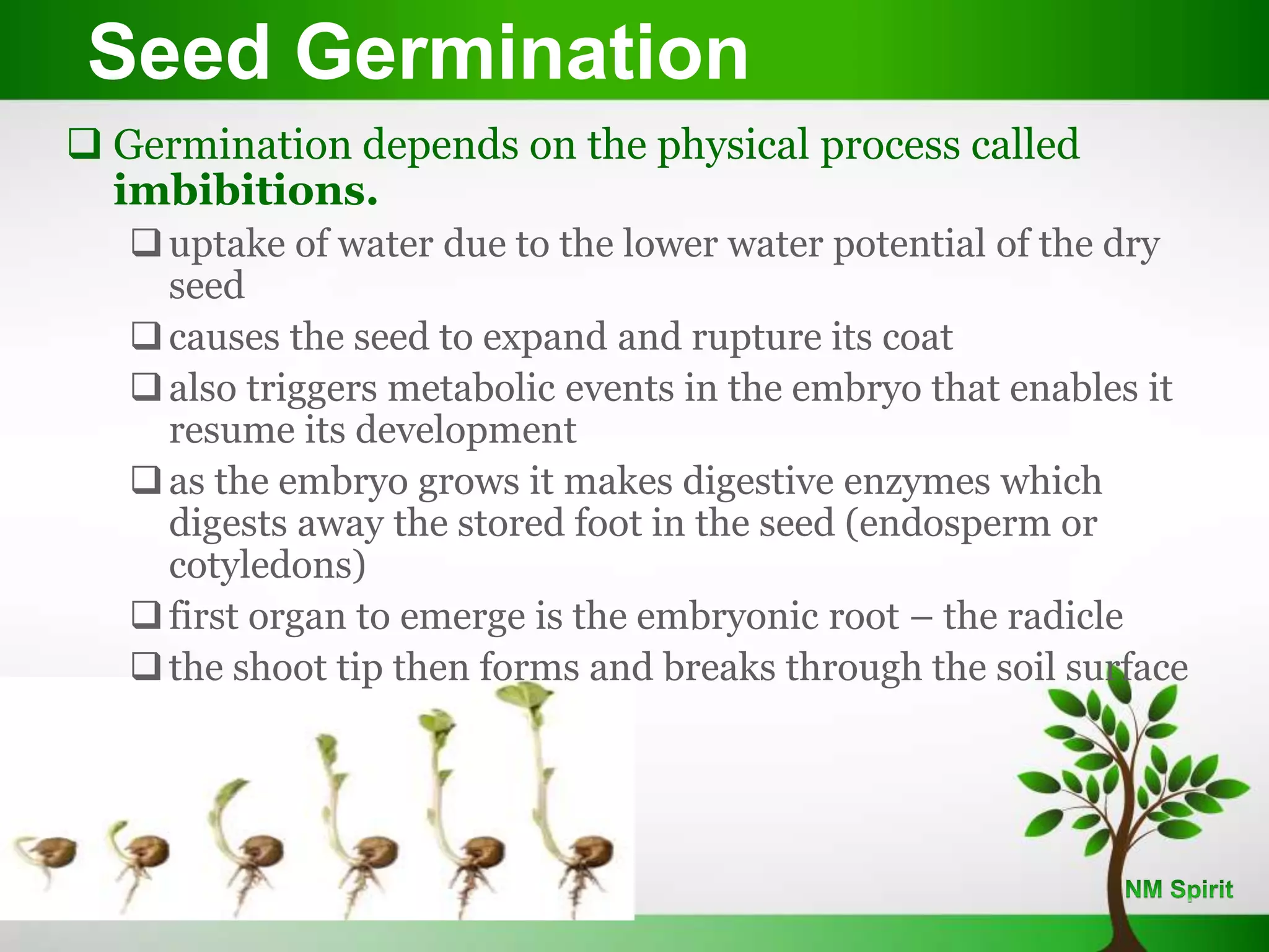 Plant Reproduction & Development | PPTX
