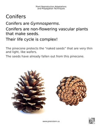 Plant Reproduction and Propagation Techniques Infocards for 4th grade ...