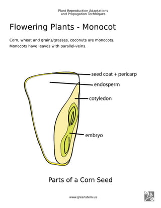 Plant Reproduction and Propagation Techniques Infocards for 4th grade ...