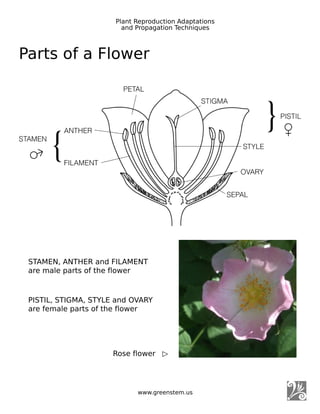 Plant Reproduction and Propagation Techniques Infocards for 4th grade ...