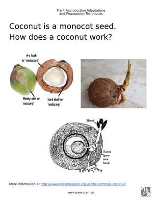 Plant Reproduction and Propagation Techniques Infocards for 4th grade ...