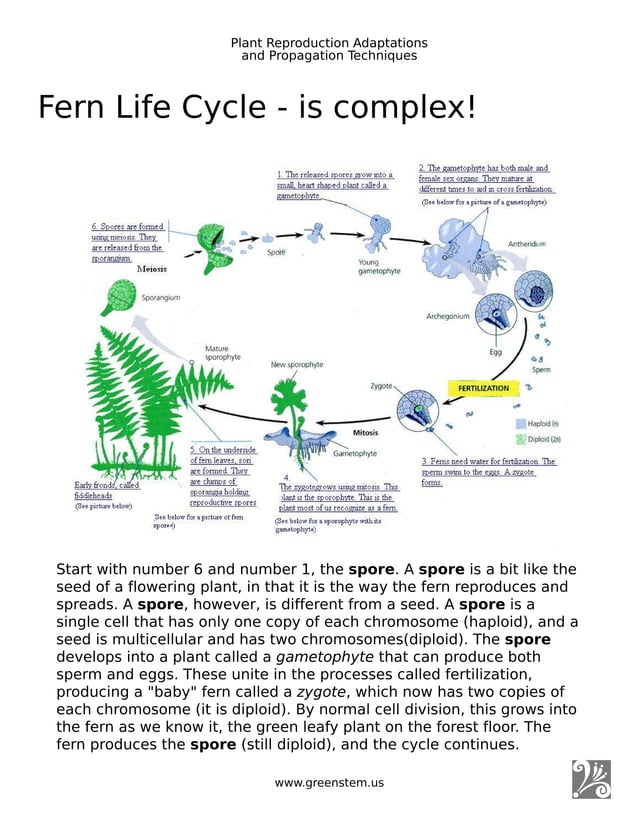 Plant Reproduction and Propagation Techniques - Showcase by Mary Van ...