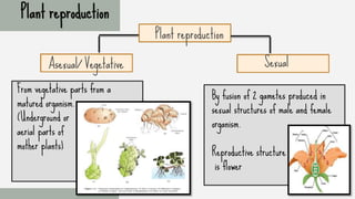 plant reproduction g.11.pptx | Gardening | Home & Garden