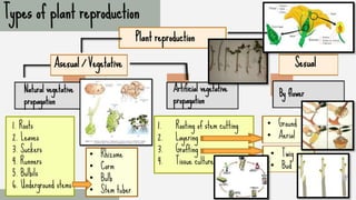 plant reproduction g.11.pptx | Gardening | Home & Garden