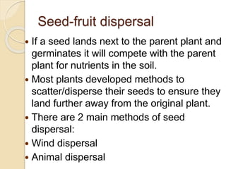 Plant reproduction gr. 6 | PPTX