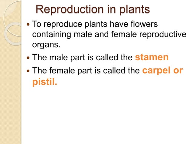 Plant reproduction gr. 6 | PPTX
