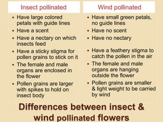 Plant reproduction gr. 6 2018 | PPTX
