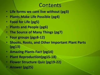 All About Plants | PPT