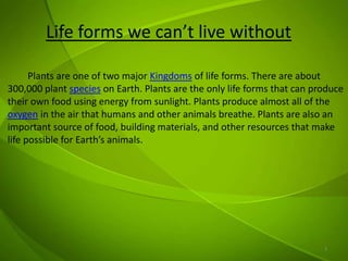 All About Plants | PPTX