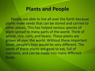 All About Plants | PPTX