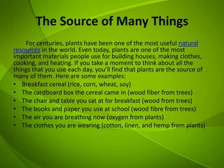 All About Plants | PPTX