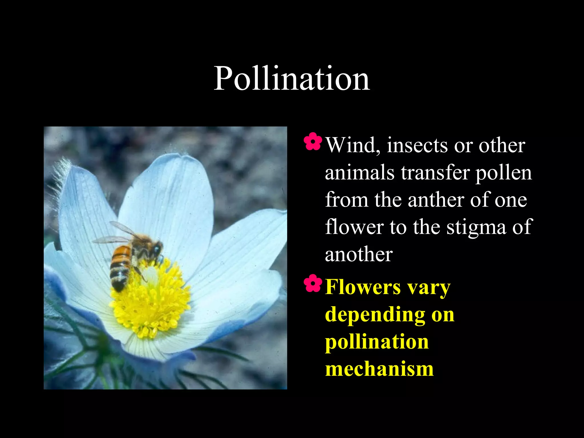 Plant Reproduction Notes | PPT
