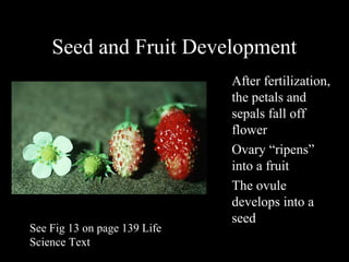 Plant Reproduction Notes | PPT