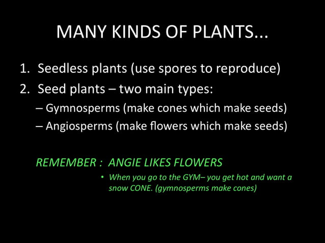 Plant Reproduction Notes | PPT