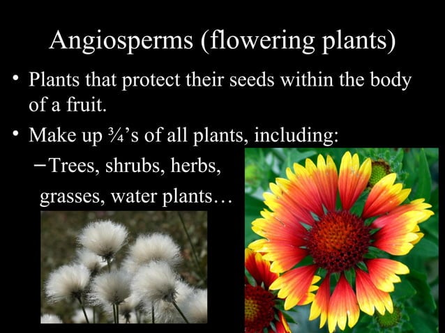Plant Reproduction Notes | PPT