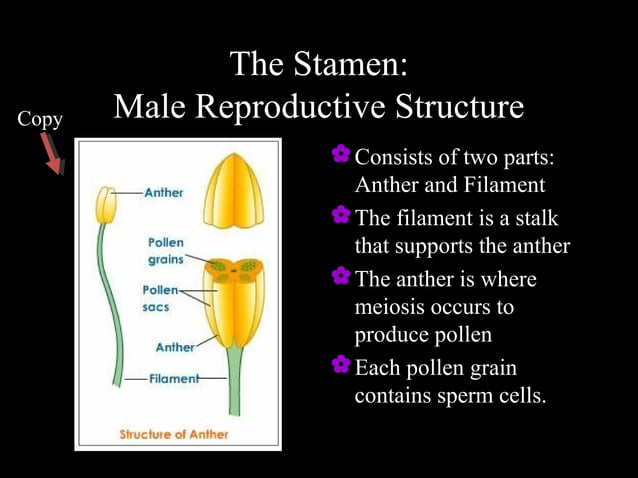 Plant Reproduction Notes | PPT