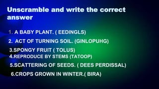 Plant reproduction( quiz) by divya kumar | PPT