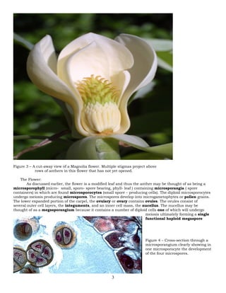 Plant reproduction responses | PDF