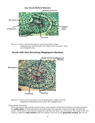 Plant reproduction responses | PDF