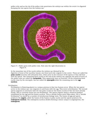 Plant reproduction responses | PDF