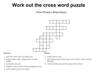 Plant reproduction with qn | PPT