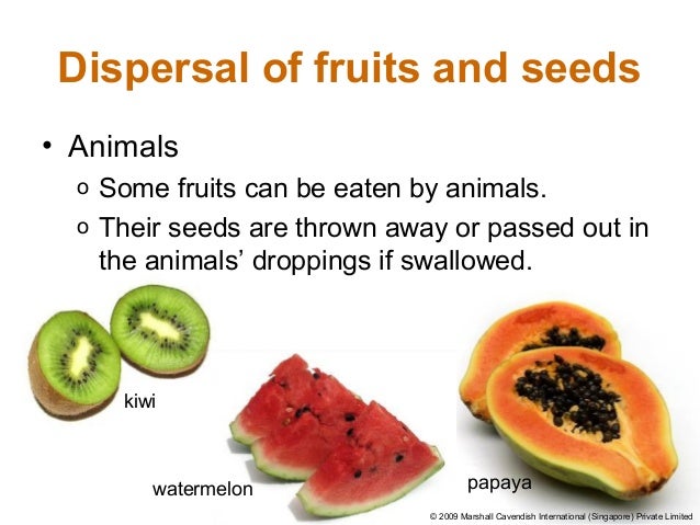 Plant reproduction with qn