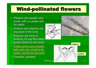Plant reproduction | PDF