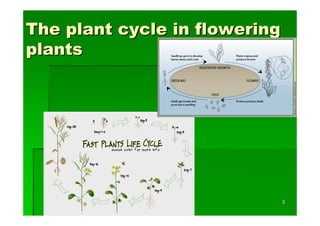 Plant reproduction | PDF