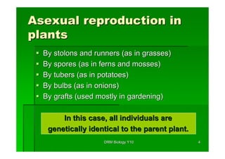 Plant reproduction | PDF