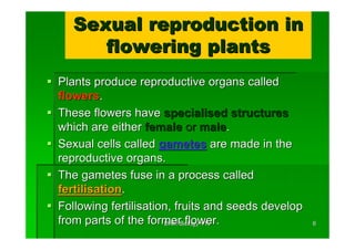 Plant reproduction | PDF