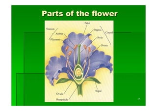Plant reproduction | PDF