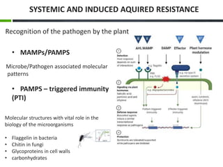 Plant resistance Inducers.ppt
