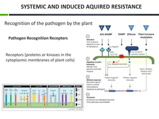 Plant resistance Inducers.ppt