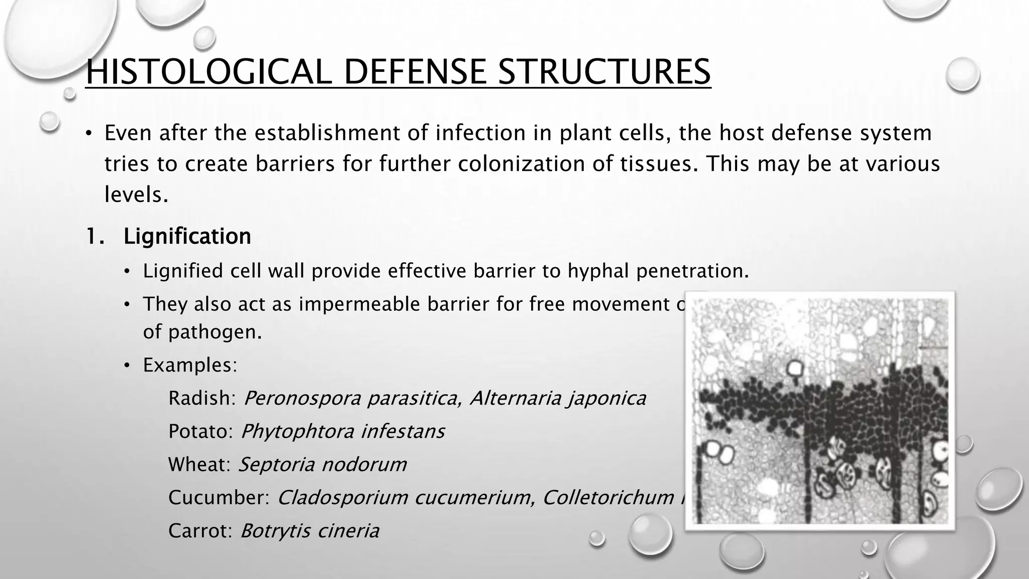 Plant resistance mechanism | PPTX