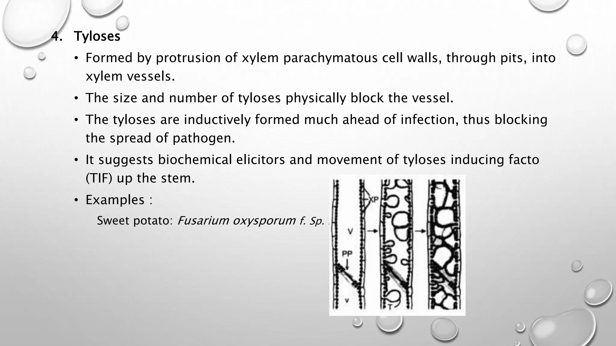 Plant resistance mechanism | PPTX