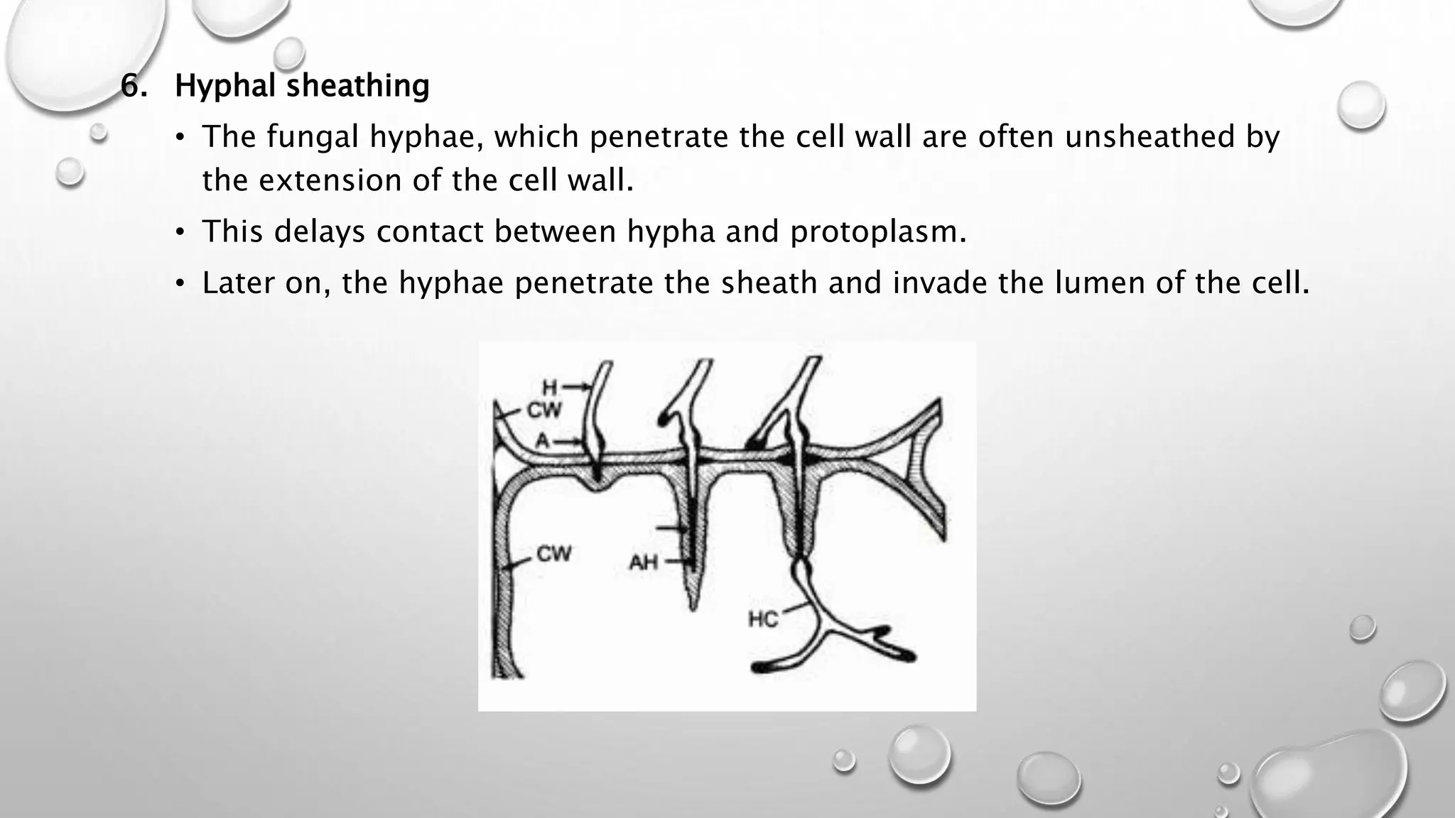 Plant resistance mechanism | PPTX