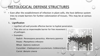 Plant resistance mechanism | PPTX