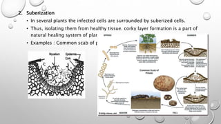Plant resistance mechanism | PPTX