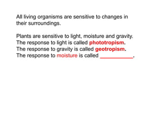 Plant responses | PPTX
